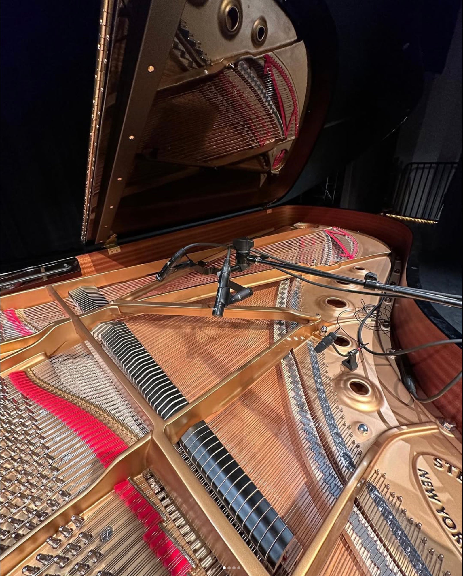 Sonorous Objects NYC | Small Microphones Designed for Field Recording