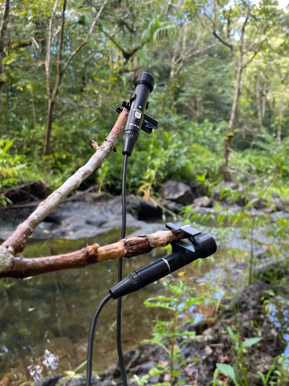 SO.1 Omni Microphone Field Recording Sonorous Objects Primo EM272